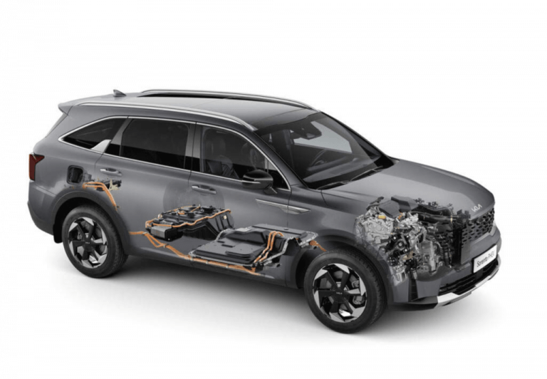 Co znaczy PHEV, MHEV, HEV, BEV czy EV? Jakie są różnice między tymi pojazdami? | Autoryzowany ...